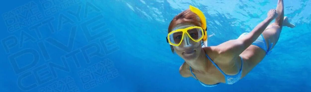 Pattaya Dive Centre | PADI | Scuba Diving Pattaya Thailand