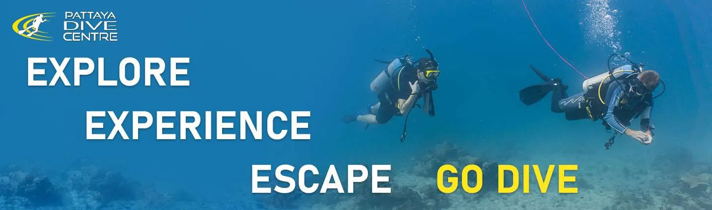 Go Diving In Pattaya Thailand | PADI 5-Star Pattaya Dive Centre