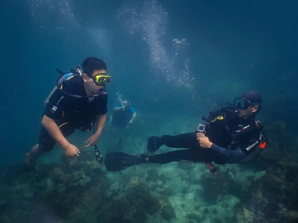 PADI Open Water Training + eLearning: Pattaya Dive Centre