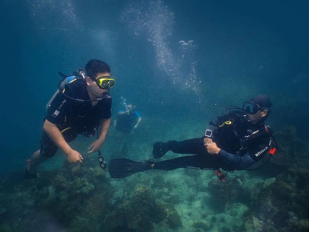 PADI Open Water Diver Course in Pattaya Thailand | Learn to Dive