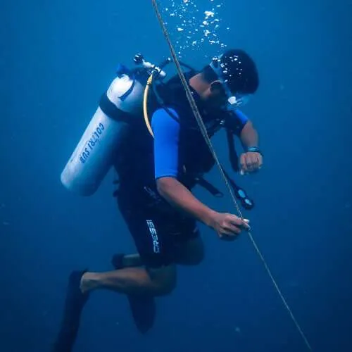 5 Best Specialty Courses for AOW Divers.