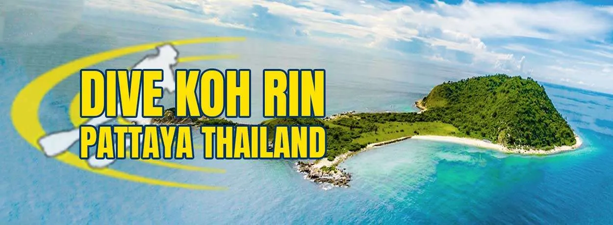 Diving Koh Rin | Dive Site Review - Pattaya Far Islands Thailand