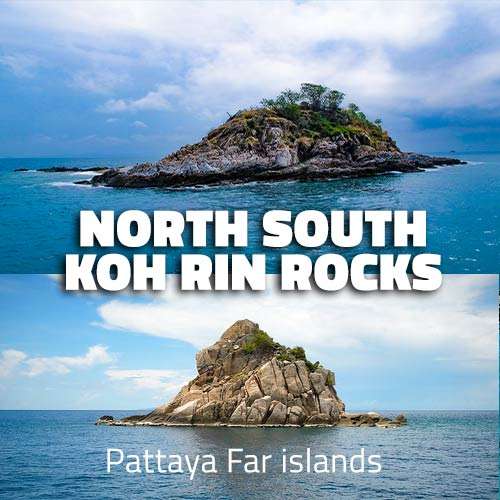 Pattaya Far Islands Dive Sites Gulf of Thailand Diving