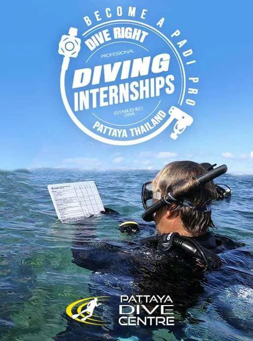 Pattaya Dive Centre | PADI | Scuba Diving Pattaya Thailand