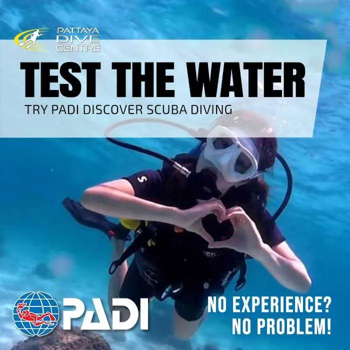 Pattaya Dive Centre | PADI | Scuba Diving Pattaya Thailand