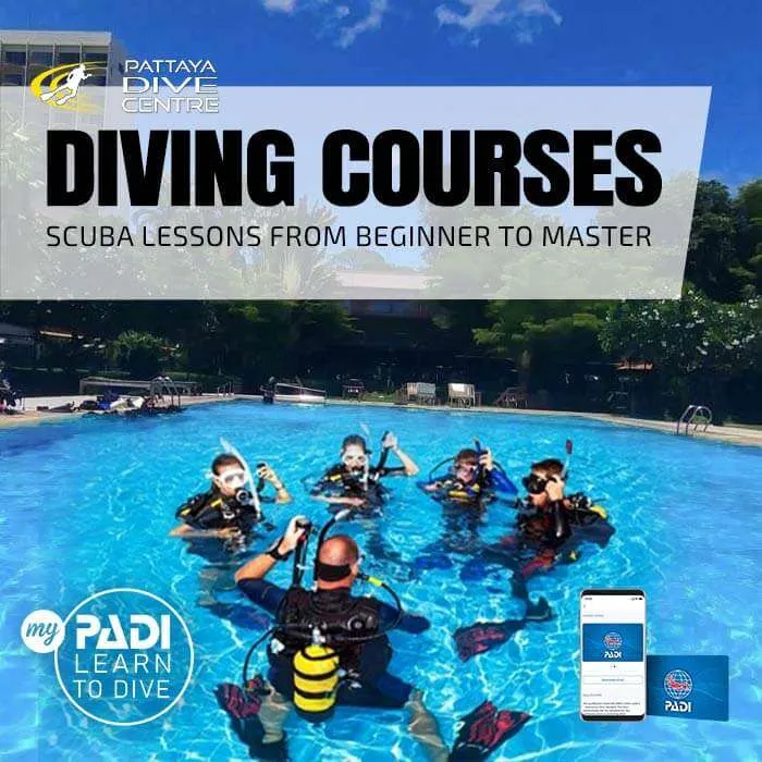 Pattaya Dive Centre | PADI | Scuba Diving Pattaya Thailand