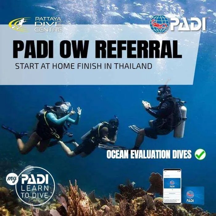 Open water Diver Referral :: Pattaya Dive Centre